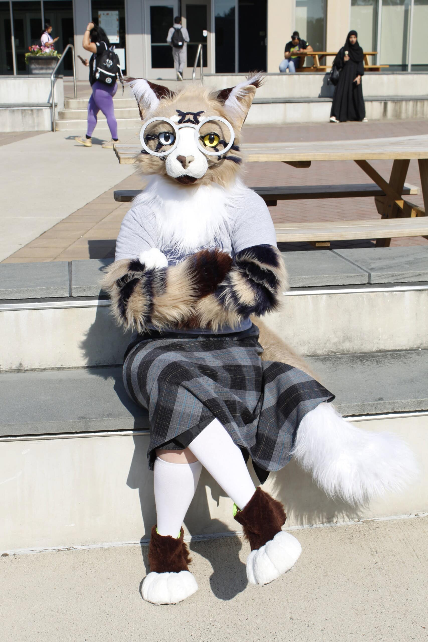 Furry Fandom – Crescent magazine